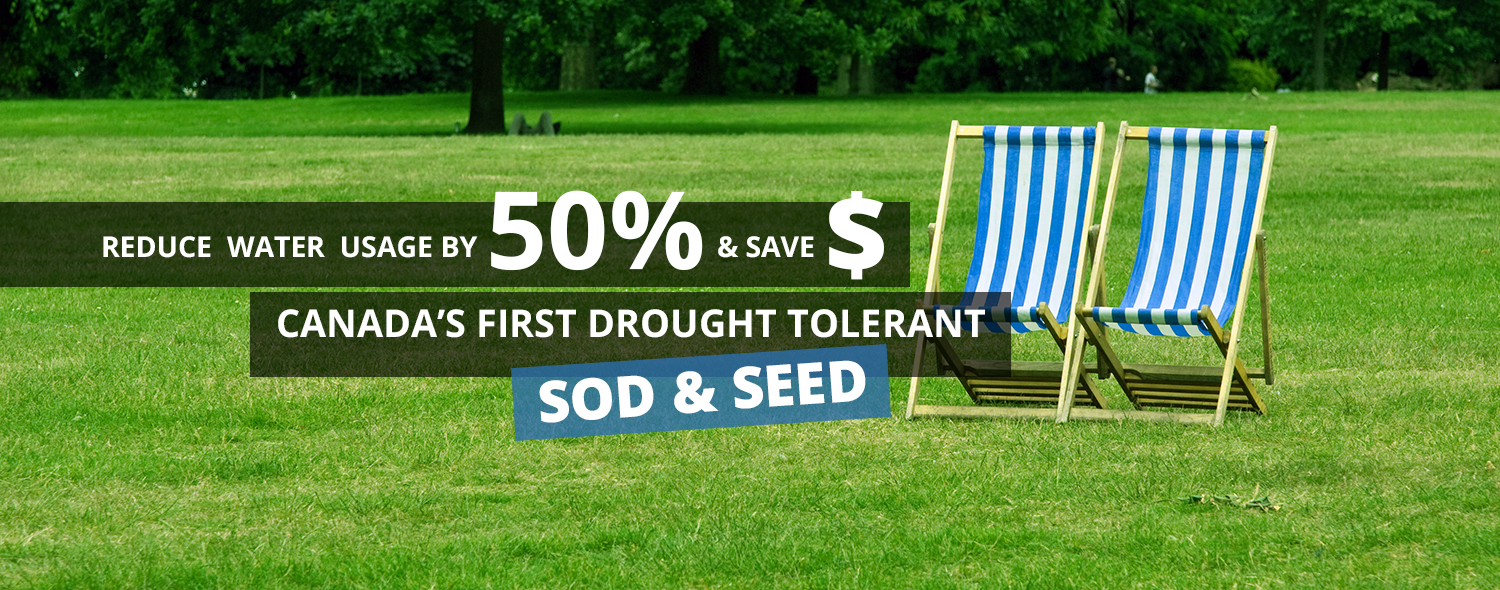 Manderley Turf | Fresh Sod | Soil | Seed | Fertilizer