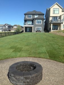 Manderley Turf | Fresh Sod | Soil | Seed | Fertilizer