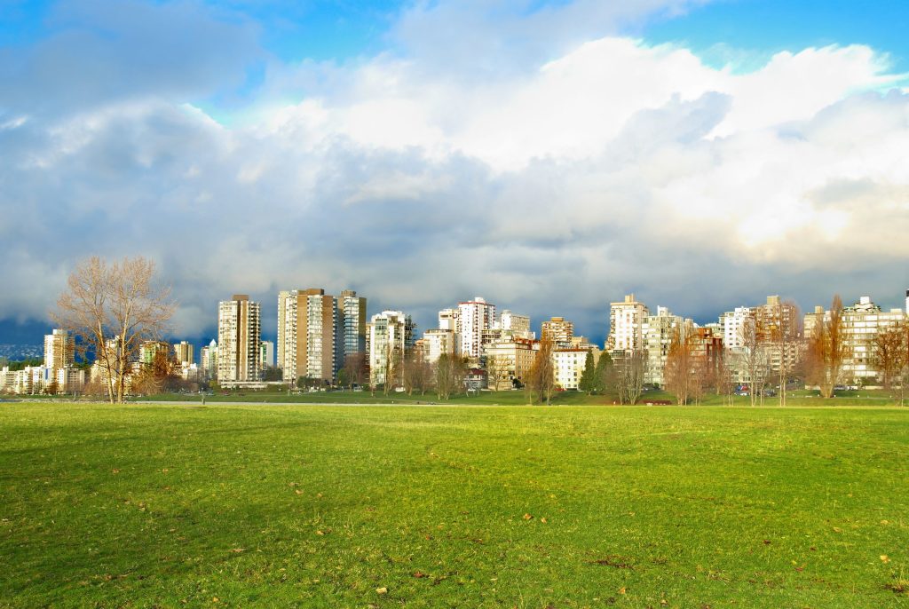 How Does a Manderley Lawn Benefit the Environment? | Manderley